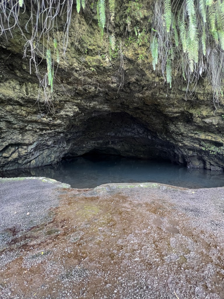 Tahiti Road Trip – Its a LaLa Life