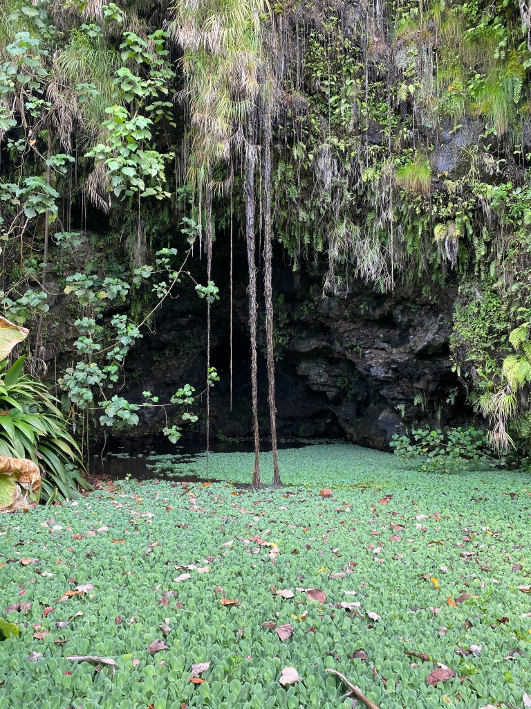 Tahiti Road Trip – Its a LaLa Life