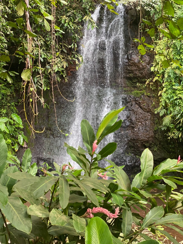 Tahiti Road Trip – Its a LaLa Life